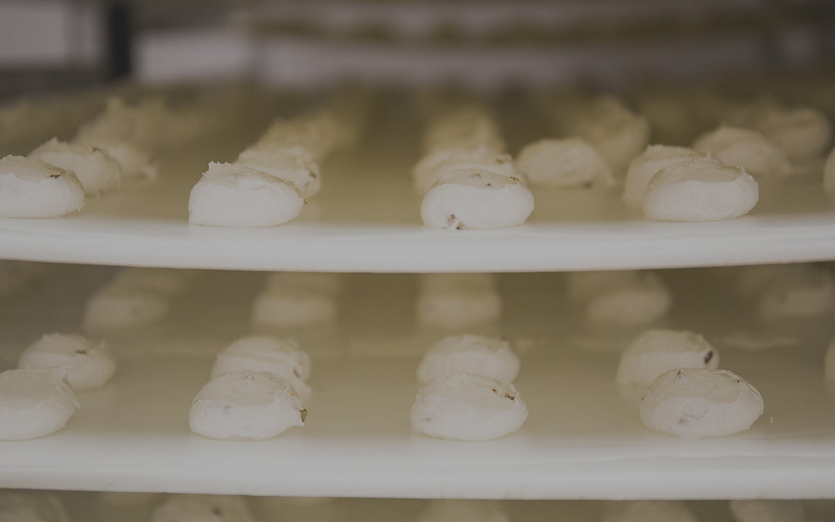 Our History - palmer-candy